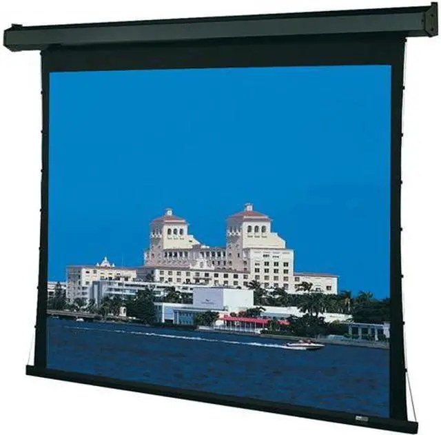 Draper Premier Electric Projection Screen - Newegg.com