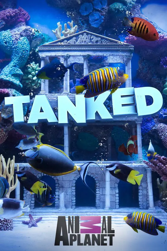 Tanked: Season 10 Episode 7 - Imaginarium Aquarium [HD] [Buy] - Newegg.com
