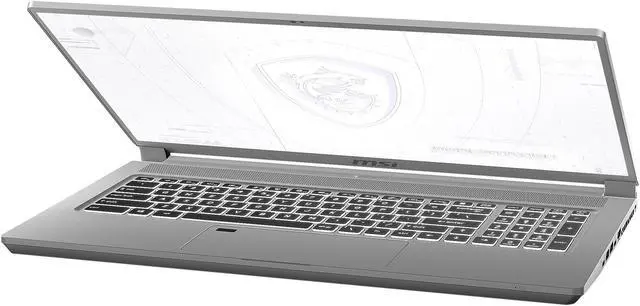 MSI WS Series Intel Core i9 10th Gen 17.3" Windows 10 Pro 64-bit Mobile ...