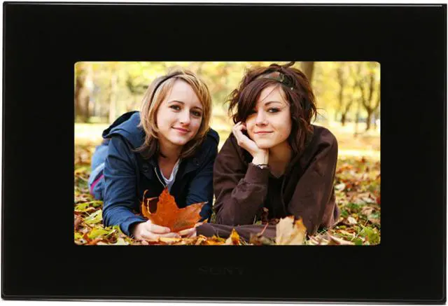 SONY DPF-D82/B 8" 800 x 480 Digital Photo Frame - Newegg.com