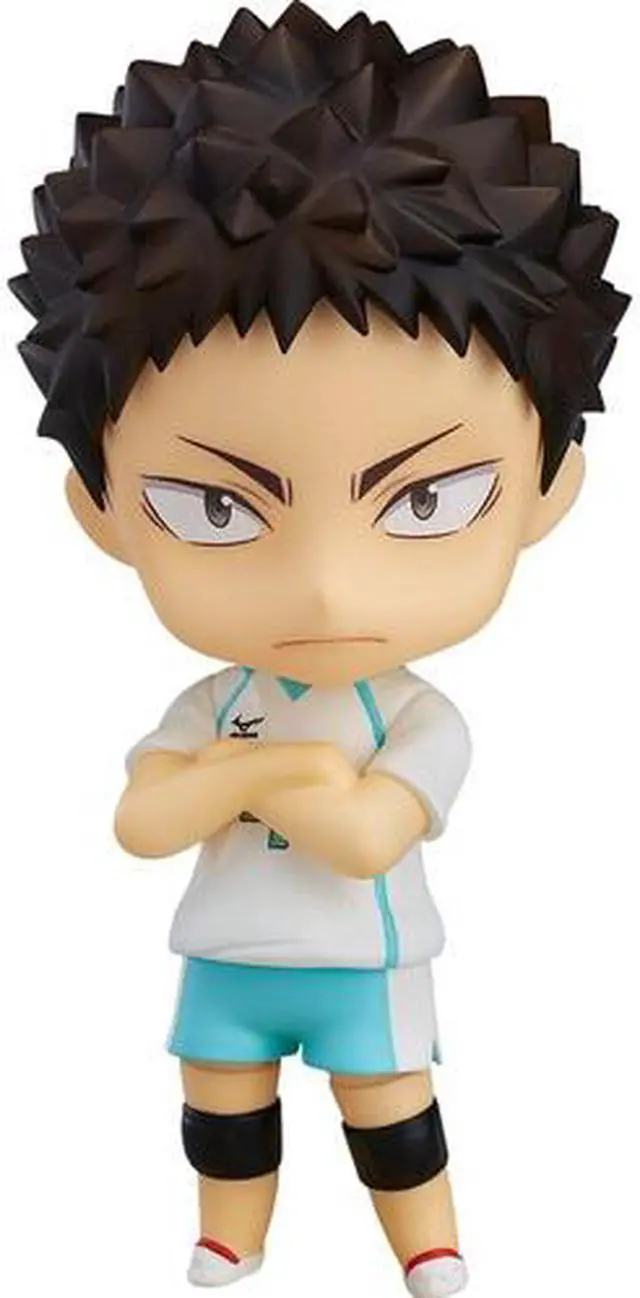 Nendoroid Hajime Iwaizumi Action Figure - Newegg.com
