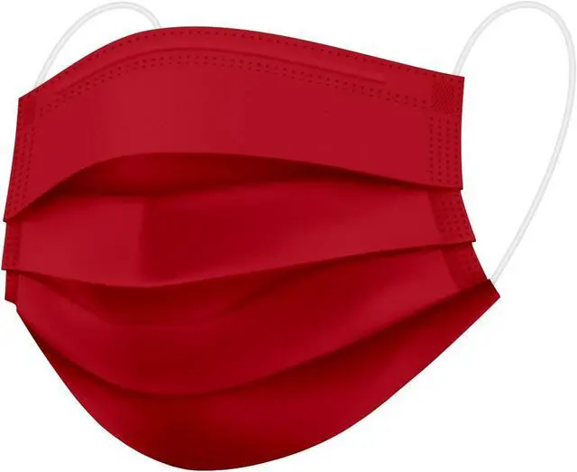 WeCare Disposable Face Mask, 3-Ply with Ear Loop (50 Individually ...