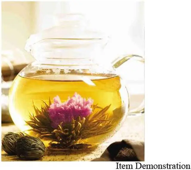 Primula PTA-4002 Flowering Tea Set with 40-Ounce Pot with Glass Lid ...
