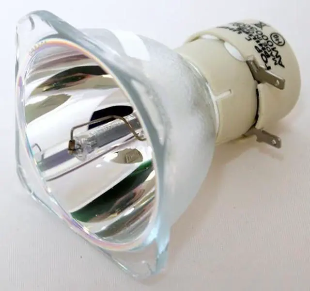 UHP 210-170W 0.0 E20.9 Philips Original Projector Bulb - Newegg.com