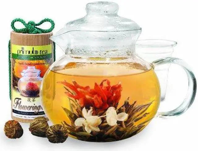 Primula PTA-4002 DST Flowering Tea Gift Set (40 oz Teapot, Glass ...