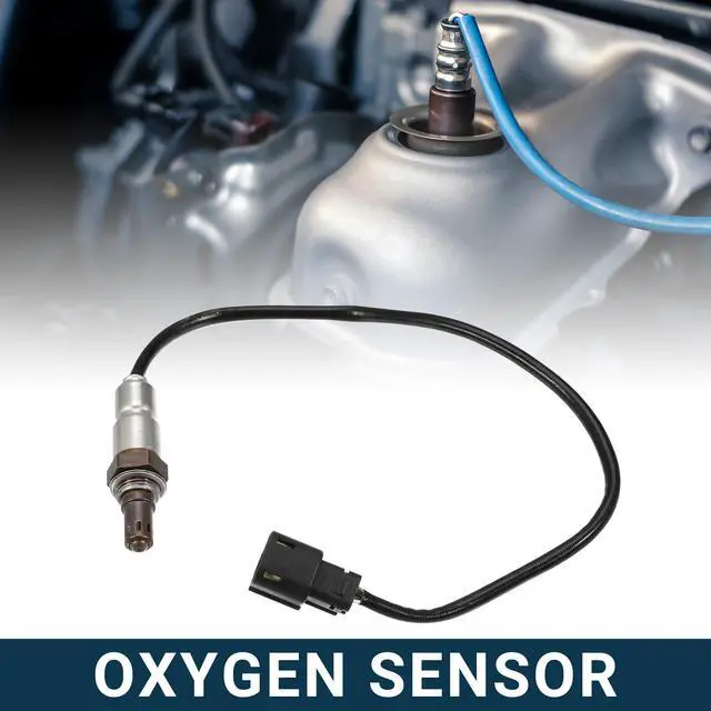 Exhaust Gas Oxygen Sensor