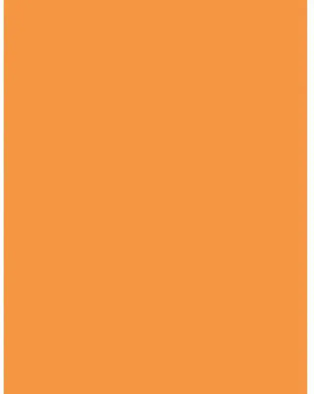 Pacon Corporation PAC104318 Neon Bond Paper- 24 lb.- 100 Sheets- 8 ...