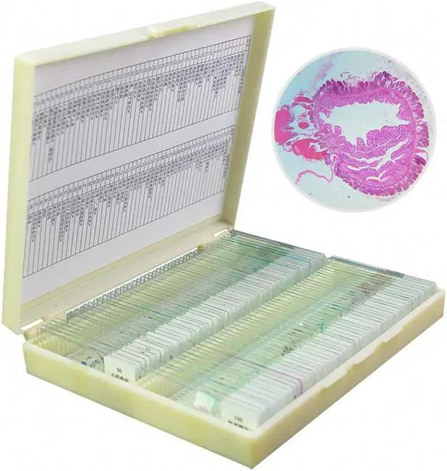Human Histology Prepared Slides Biology Education 100 Piece Human ...