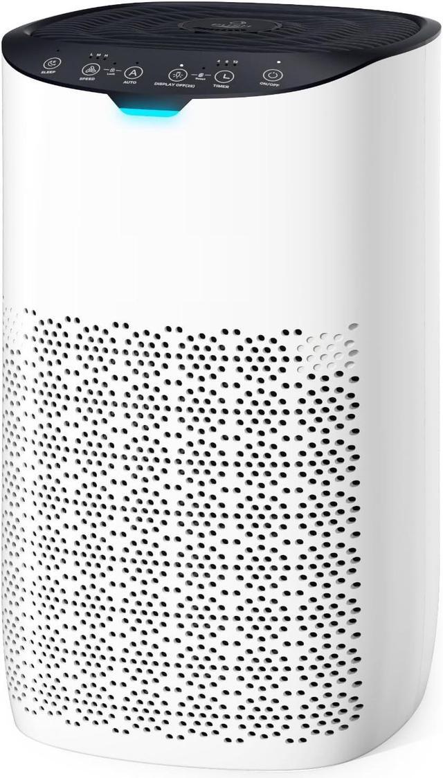 3-stage Filtration System ECOSELF Air Purifier For Large Rooms Up To ...