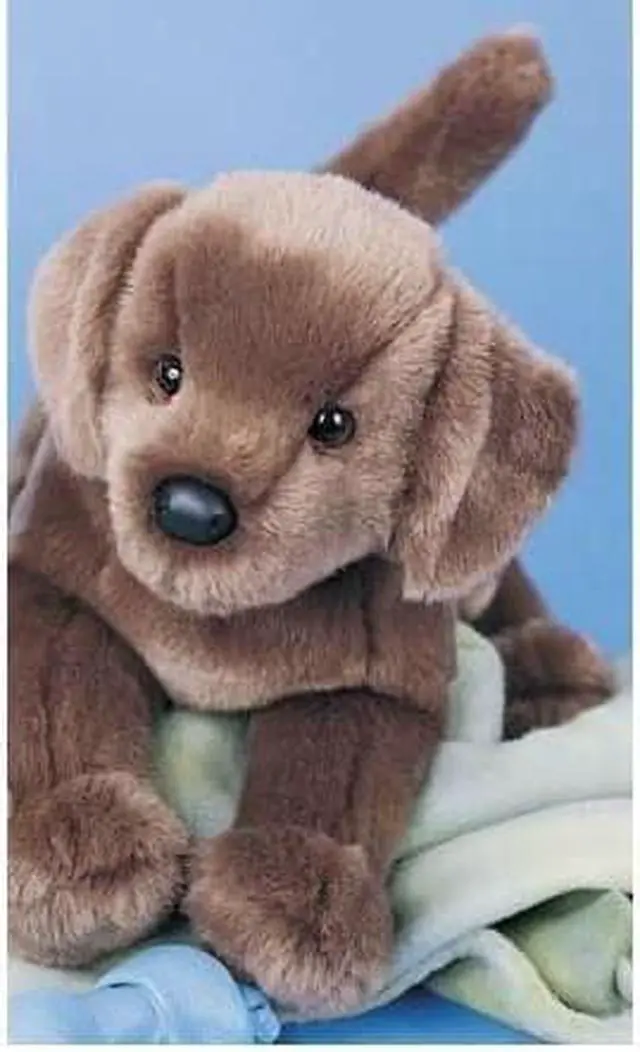 Coco Chocolate Lab 16" by Douglas Cuddle Toys - Newegg.com