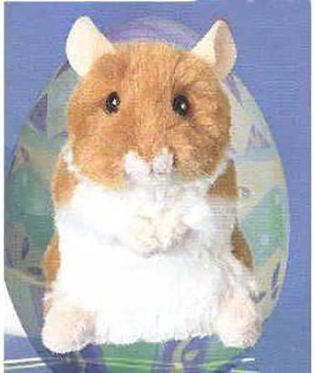 Brushy Hamster 5" by Douglas Cuddle Toys - Newegg.com