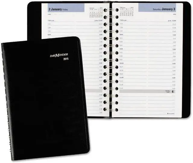 At-A-Glance Daily Appointment Book with15-Minute Appointments 8 x 4 7/8 ...