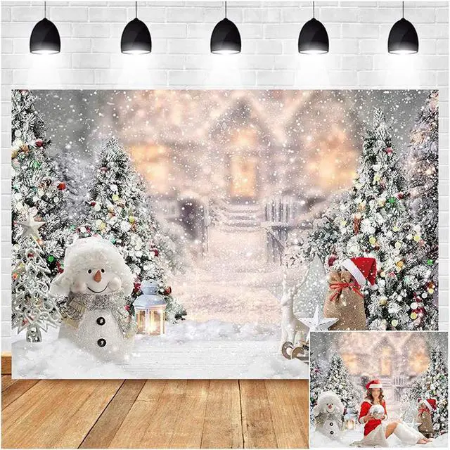 Winter Holiday Party Backgrounds