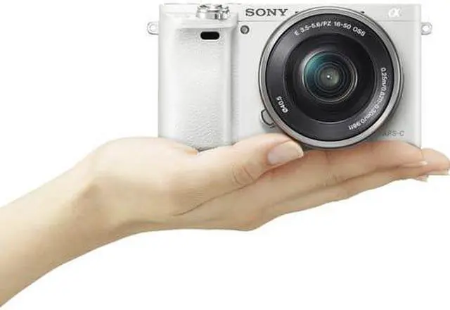 Sony LCS-BP3 Backpack Carrying Case for Nex and DSLRs Cameras - Newegg.com