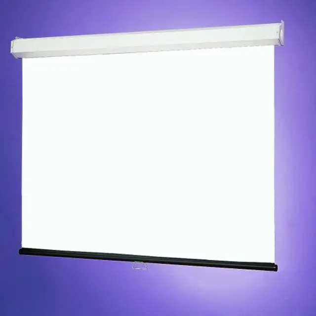 Draper Luma 2 Manual Projection Screen - Newegg.com