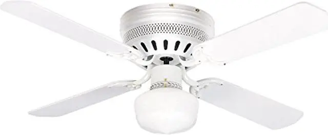 Ceiling Fan With Single Light