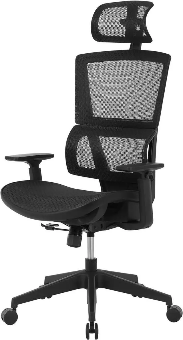 Radano Mesh High-Back Executive Office Chair, Black, BIFMA Compliant ...