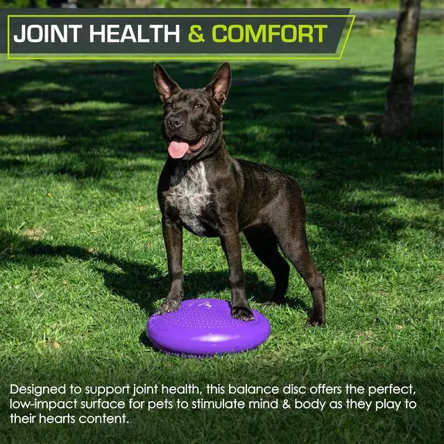 ProsourceFit Core Balance Disc Trainer, 14 Diameter with Pump for ...