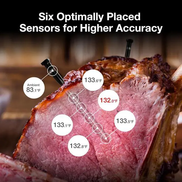 Wireless Bluetooth Smart Meat Thermometer: Standalone Base, WiFi ...