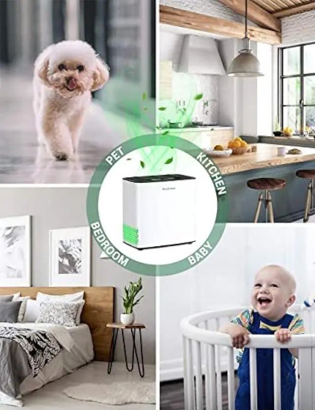 HEPA Air Purifier for Home Elechomes P1801 Air Cleaner with Auto Mode Air Quality Sensor Removes 99.97 Dust Smoke Pet Dander 22dB Ultra Quiet White Newegg
