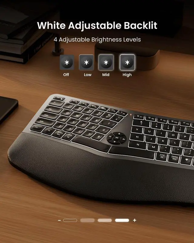 ProtoArc Backlit Wireless Ergonomic Keyboard, EK01 Plus Full Size Ergo ...