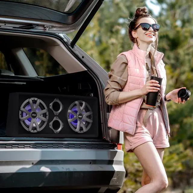Pyle 10" Dual Subwoofer Box System with Rear Vented Design & Built-in ...