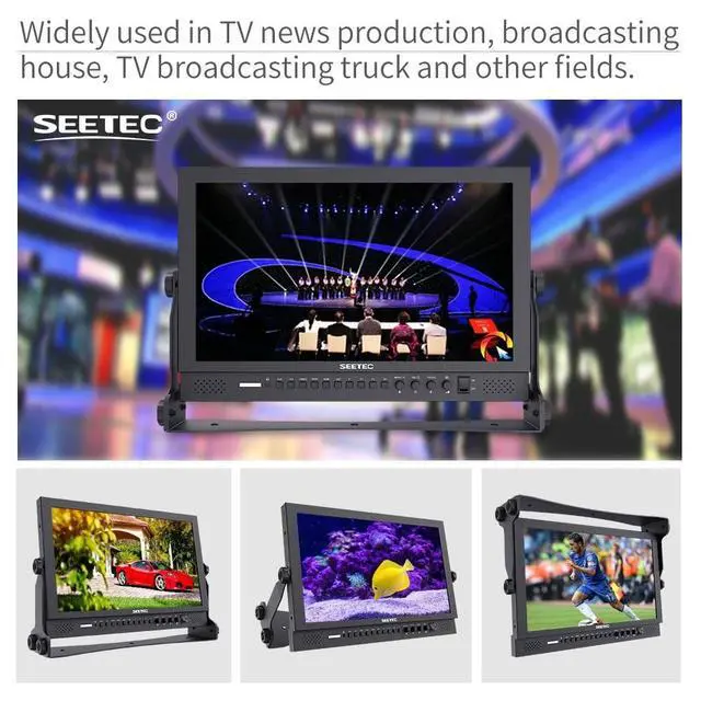 SEETEC P173-9HSD 17.3" Broadcast Studio Video Monitor IPS Full HD 8 Bit ...