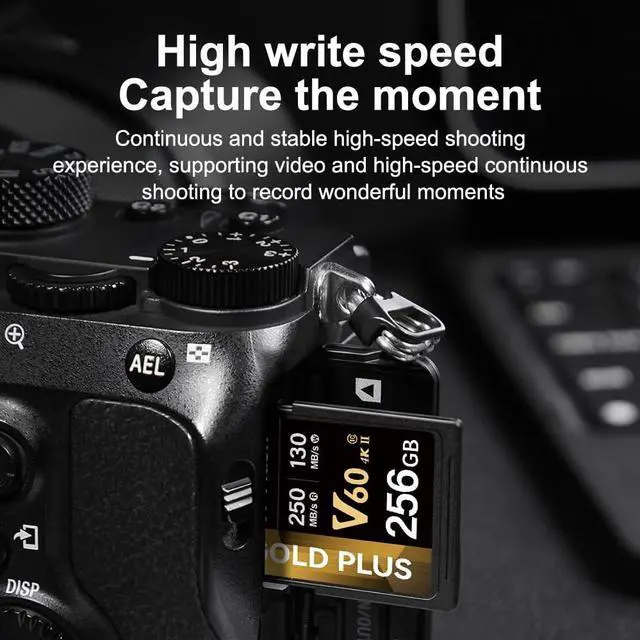 H-Flash V60 SD Card 256GB High Speed, up to 250MB/s Read, 130MB/s Write ...