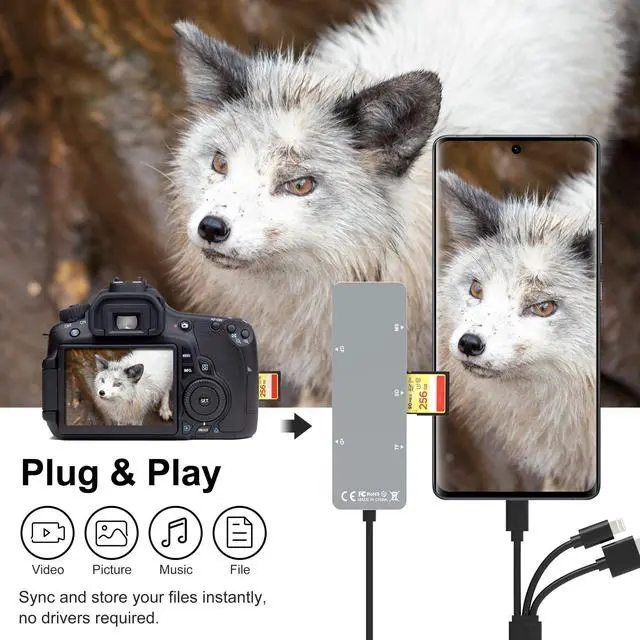 Memory Stick pro Duo Adapter - 5 in 1 SD/TF/MS/CF/XD Card Reader for PC ...