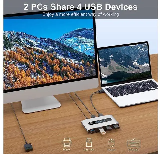USB 3.0 Switch, 2 in 4 out USB 3.0 Switch, USB KVM Switcher 2 Computer ...