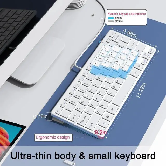Ultra-Slim 78keys USB-C Mini Wired Keyboard with Media Hotkeys for ...
