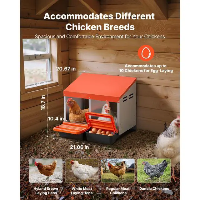 Chicken Nesting Boxes, 2 Compartments, Easy Egg Collection, Wall Mount ...