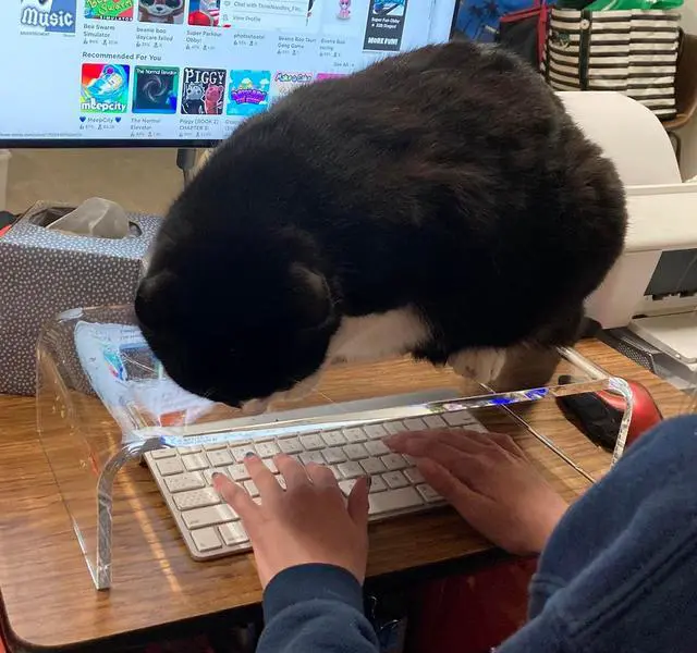 VTZEOTQ Acrylic Monitor Stand Riser Anti-Cat Laptop Cover Protector ...