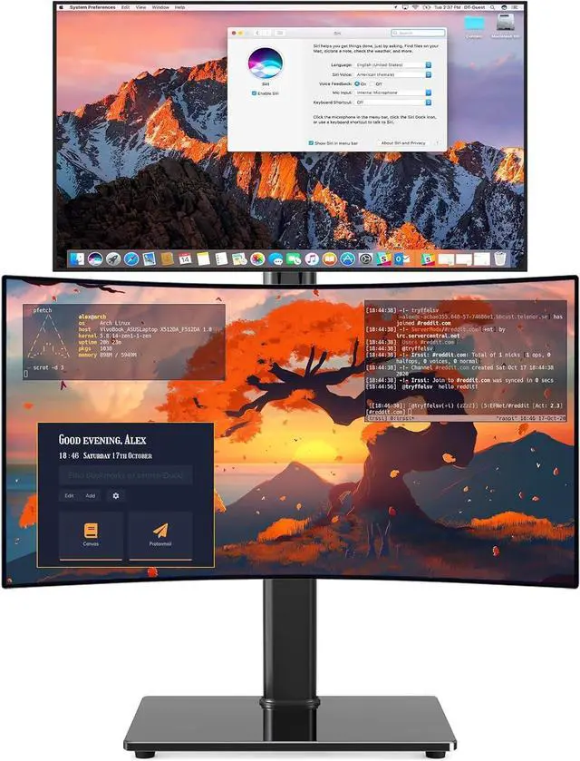 Dual Monitor Stand VESA Mount for 13-38 Inch Screens, Free-Standing ...