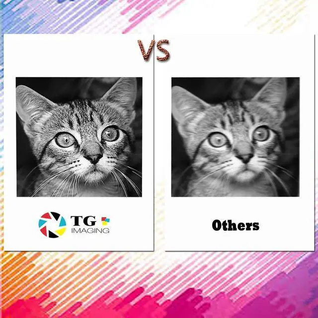 TG Imaging Compatible LC3037 Ink Replacement for Brother LC3039 Ink ...