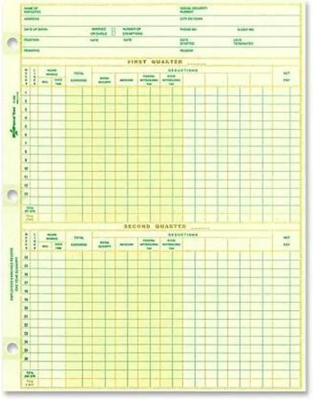 Dominion Blueline Inc National Payroll Sheet 1 Year 10-7/8"x8-1/2 ...
