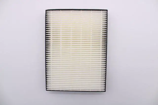 Jaspertronics Replacement Smoke Cut Air Filter for Select Panasonic ...