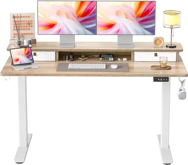 TIQLAB 55 * 24 Inch Standing Desk with Two Drawers, Stand Up Desk ...
